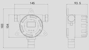 Fixed Gas Detector | Industrial Gas Getector - Renke
