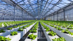 8 types of sensors for best Greenhouse Remote Monitoring Systems - Renke