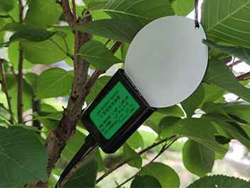 Leaf Wetness Sensor - Renke
