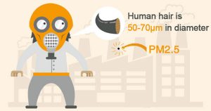 What Is PM2.5 and How Measure? - Renke