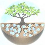 Soil Water Types and How to Measure - Renke