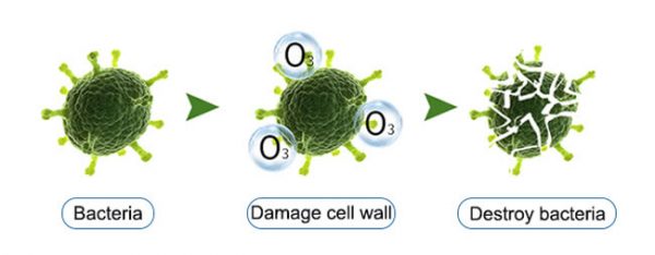 Ozone Gas and its Sensor - Renke