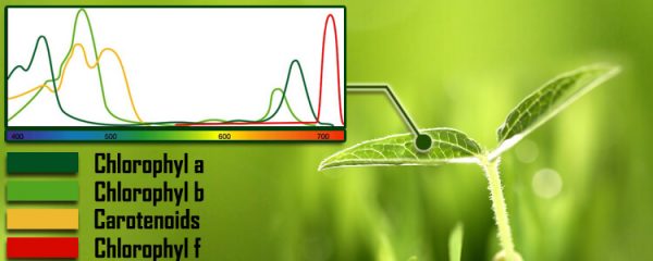 Photosynthetically Active Radiation (PAR) - Renke