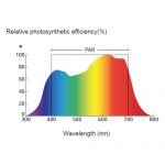 Photosynthetically Active Radiation (PAR) - Renke