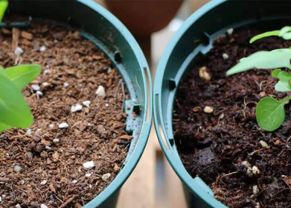 Effective Ways to Measure and Maintain Soil Moisture - Renke